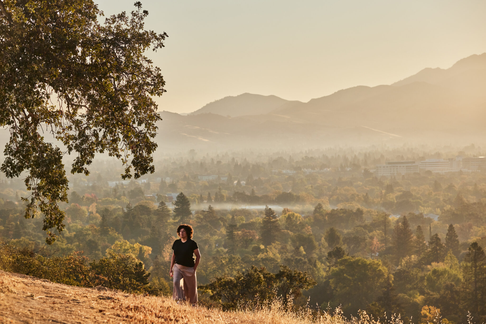 About MCE – Community Choice, Clean Energy, and Local Benefits